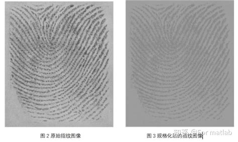 基于matlab指纹识别系统[gui 预警] csdn博客