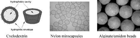 Examples Of Microcapsule Structures Download Scientific Diagram