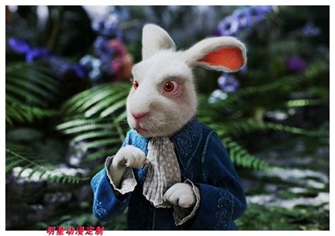 《爱丽丝梦游仙境》的白兔先生与《爱宠大机密》的兔子老大雪球 哔哩哔哩