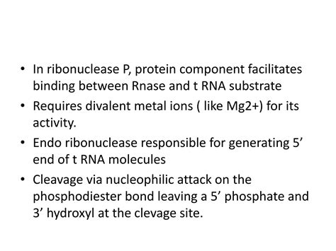 Ribozymes Typescharacteristics In Biotechnology Ppt