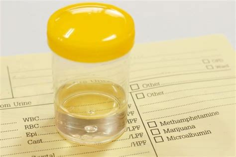 10 Arti Warna Air Seni Terhadap Kesehatanmu Apakah Kamu Cukup Minum