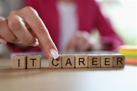 Exitosa Carrera De Programador De Ti Y Curso De Concepto De Formación De Aprendices Introducción