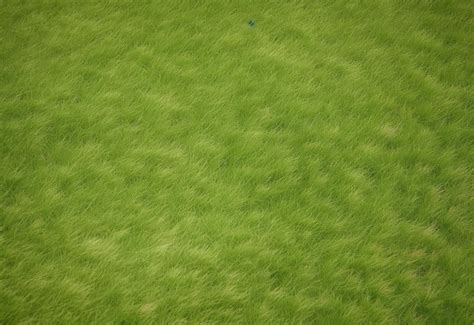 Grass Field Overview Images Free Download On Freepik