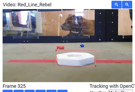 TensorFlow For CENTERSTAGE Presented By RTX FIRST Tech Challenge Docs Documentation