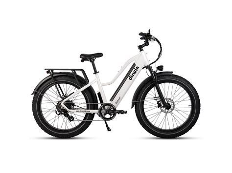 Dirwin Pioneer Step Thru Fat Tire E Bike Pyramyd Air