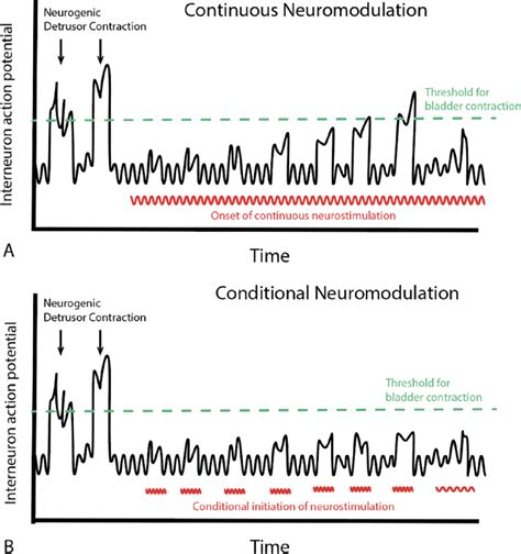 Depolarization Of Neurons With Continuous A Or Conditional B Depolarization Of Neurons With Continuous A Or Conditional B
