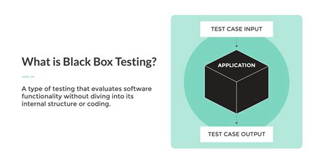 Black Box Testing Types Tools Techniques