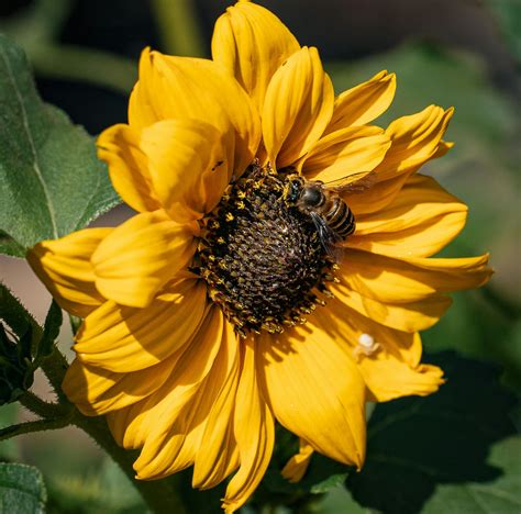 Ittybittytittypictures Photos Download The Best Free Ittybitty