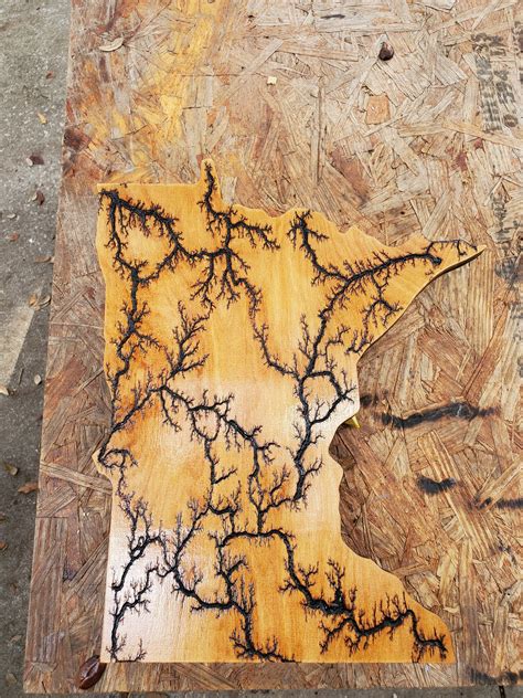 Fractal Burned State Of Minnesota Lichtenberg Figure Veteran Etsy