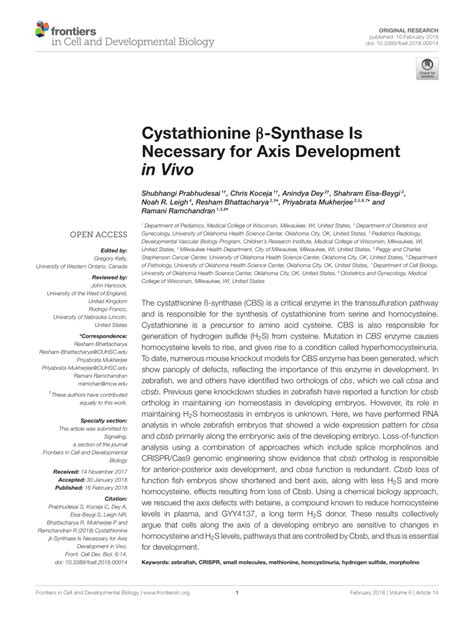 Pdf Cystathionine β Synthase Is Necessary For Axis Development In Vivo