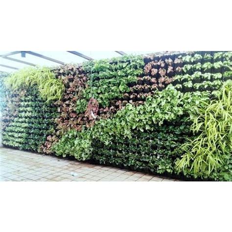 Vertical Garden Panels Vertical Garden Frame Latest Price