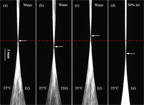 Same As But The Images Were Taken At The Diffusion Time Of Minutes Download Scientific