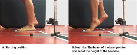 Reliability Of A Standardized Protocol Of The Single Leg Heel Rise Test