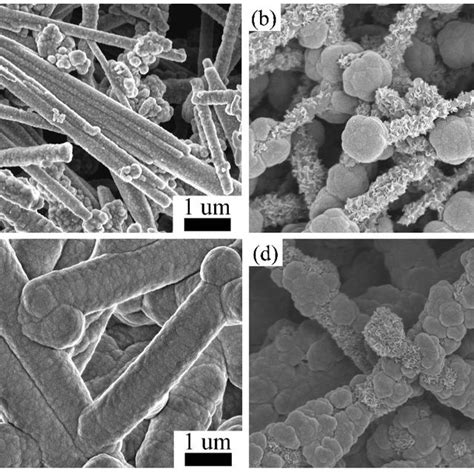Surface Morphology Of The Sample A Without And B With Pyc