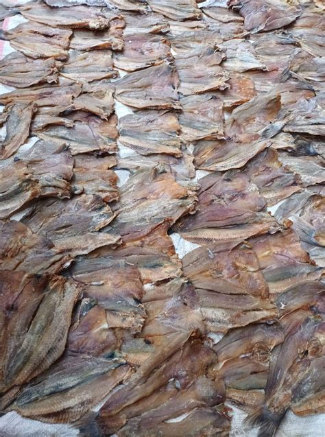 တို တိုးတက်အောင် ငါးခြောက်နှင့် စားသောက်ကုန် လက်လီလက်ကား