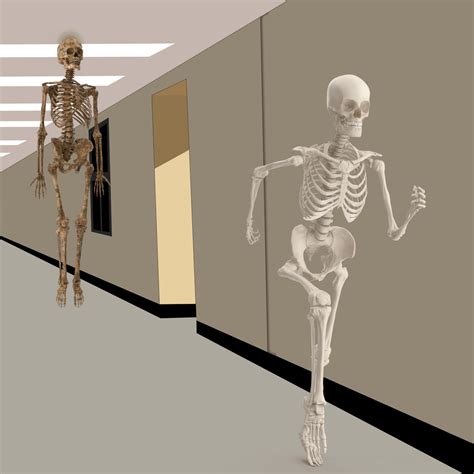 Meme Generator Floating Skeleton Chasing Skeleton Newfa Stuff