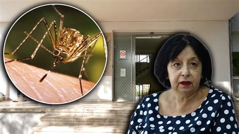 Rikthehen Pas 13 Vitesh “ethet E Nilit” Në Shqipëri Raportohen 3