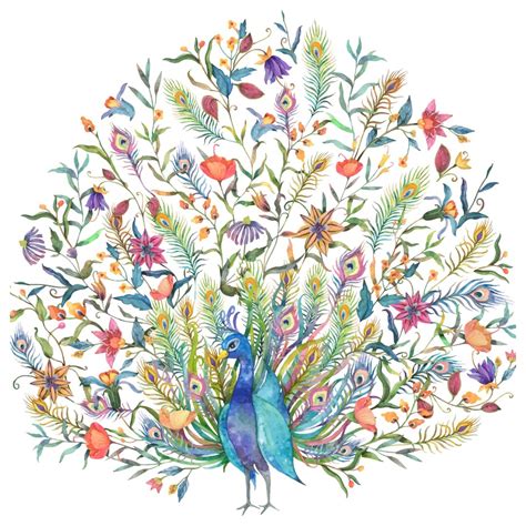Peacock Svg Peacock Feather Svg Peacock Flowers Svg Peacock 