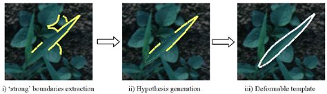 Recognition Sequence Download Scientific Diagram