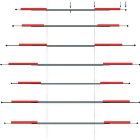 Schematic Of Relative Cranial Base Breadth In Hominoids Dashed Download Scientific Diagram
