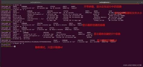 软件测试docker Ps命令 管理和监视容器的利器docker Ps All Csdn博客