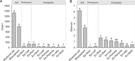 Bacterial Communities In The Rhizosphere Phyllosphere And Endosphere