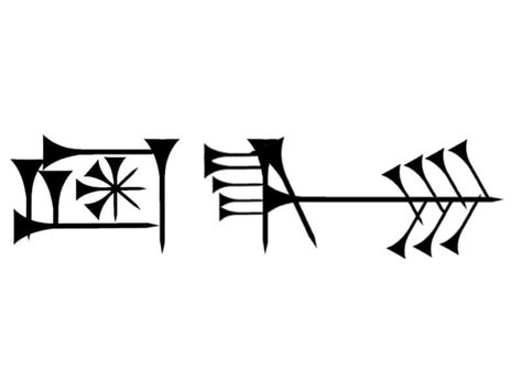 امارجي‏ ‏naser Sawaged‏