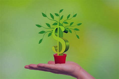 Growth Stocks Definition Examples Risk Return