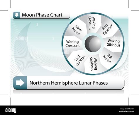 Moon Phase Chart Stock Vector Image And Art Alamy