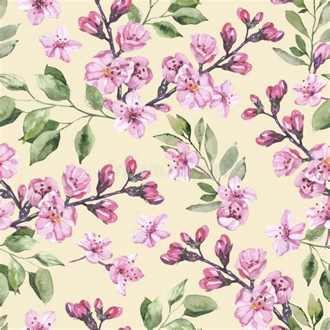 Watercolor Hand Painted Sakura Cherry Blossom Flowers Illustration