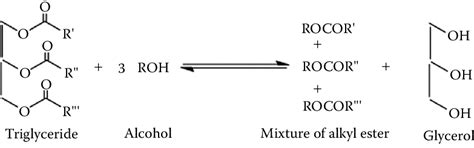 Transesterification Of Vegetable Oils Download Scientific Diagram