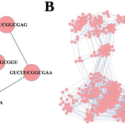 Construction Of Neutral Networks In A We Show An Example Of How Download Scientific Diagram
