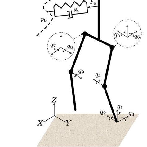 Robot Model With A Choice Of Generalized Coordinates When Supported On