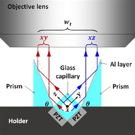 A Schematic Presentation Of The Optical Imaging System Download