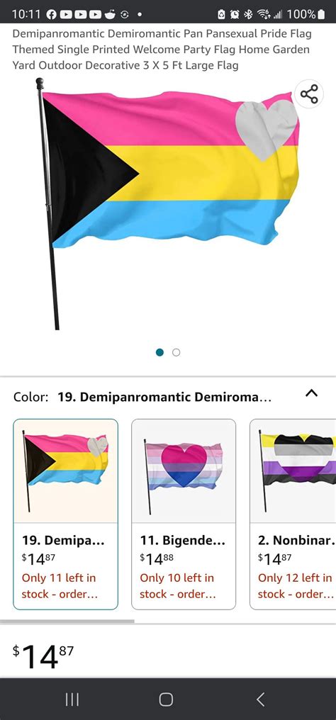How Do People Feel About This Flag I Want To Get It As Im Demiromantic Panromantic Does It
