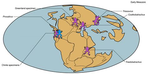 Triassic Palaeogeography With Localities Of Triassic Batrachian And Download Scientific