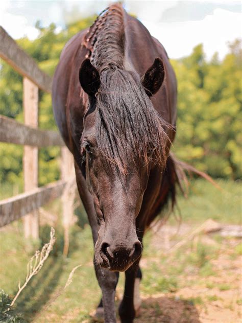 Order Now Taylor Pollock Photography