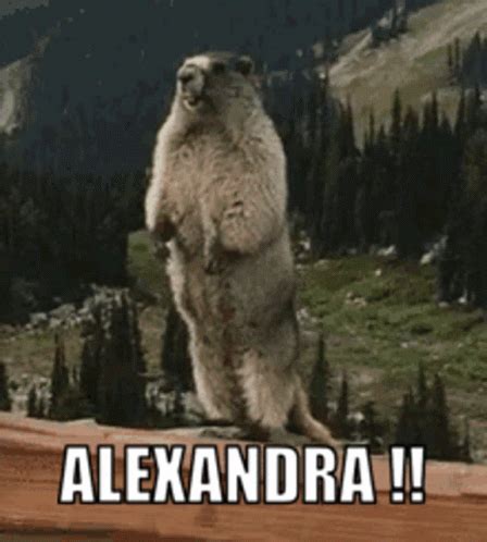 Alexandra Meme