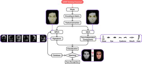 Flowchart Of The Quantum Algorithm For Face Recognition The Quantum