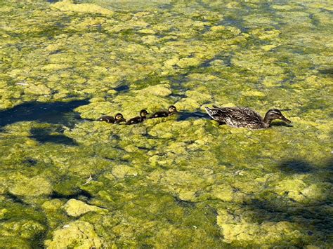 Anna Stuart On Linkedin Having One Of Those Days……… Does It Ever Feel Like Youre…