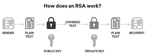 Rsa Encryption Algorithm