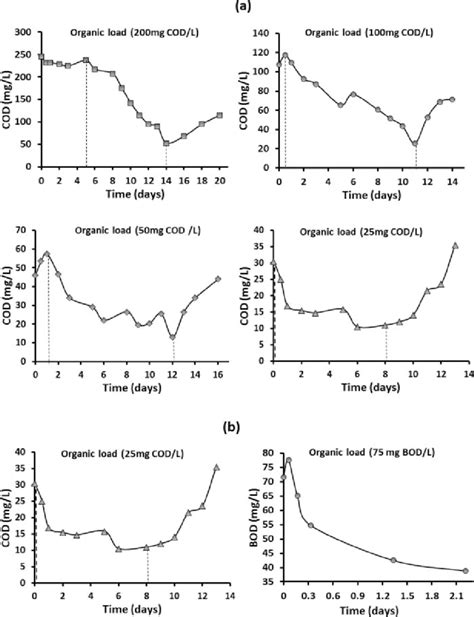 Organic Load Over Time For The Batch And Semi Batch Awss A Batch Download Scientific Diagram