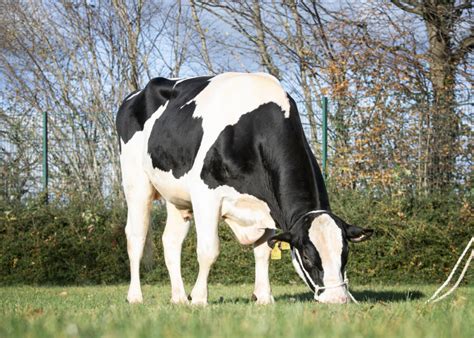 ‘gap Between Polled And Optimal Achievements Getting Smaller How Much