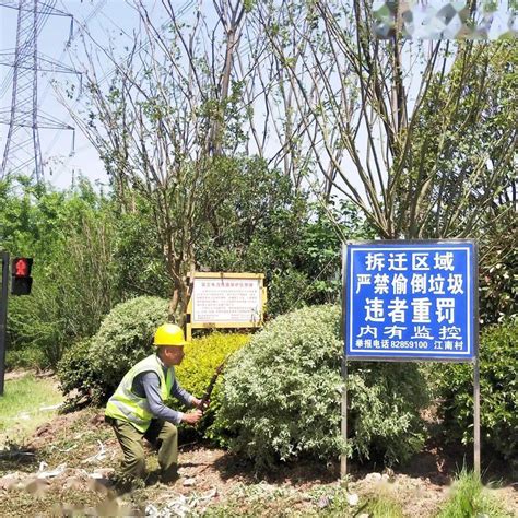 持续深入！亚运通勤道路提升改造最新情况来啦~ 绿化 综合 进行
