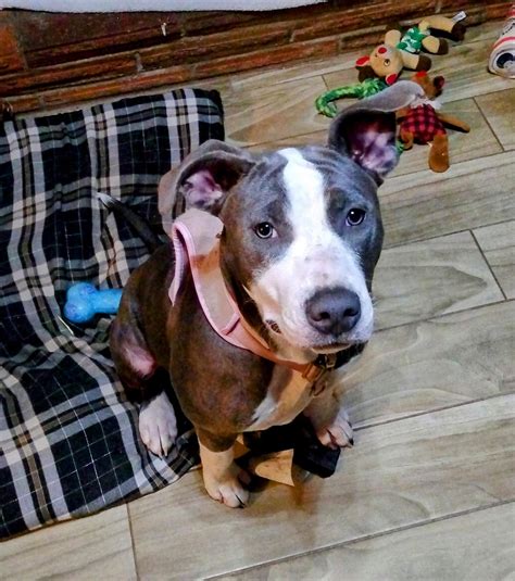 My Little Princess By Kandy918 On Deviantart