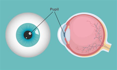 Pupil Eye Patient