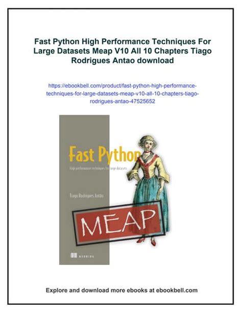 Fast Python High Performance Techniques For Large Datasets Meap V10 All 10 Chapters Tiago