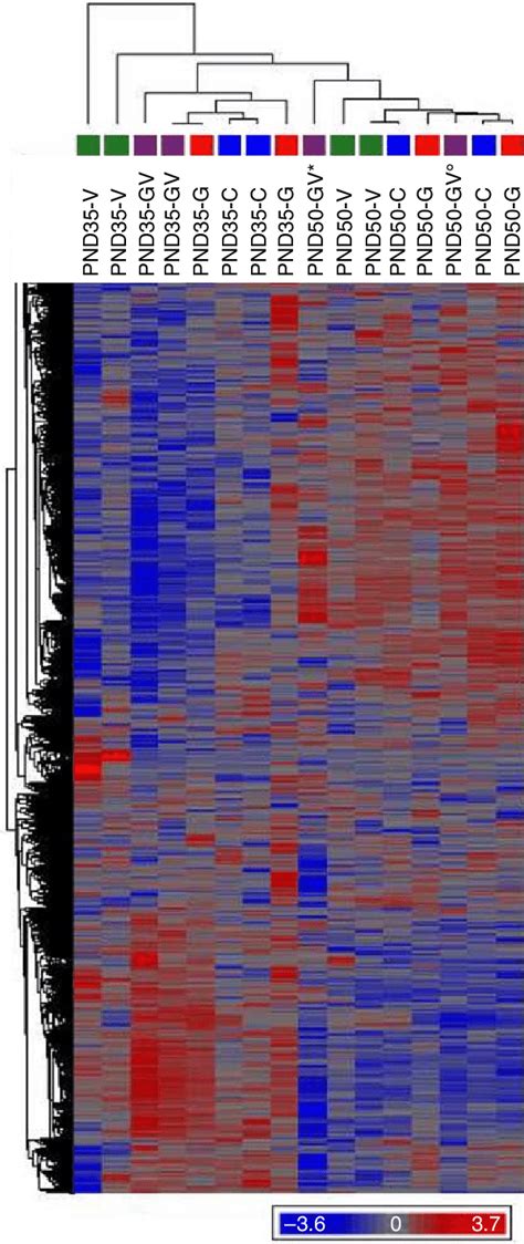 Transcriptome Alterations In Rat Mammary Gland As A Function Of