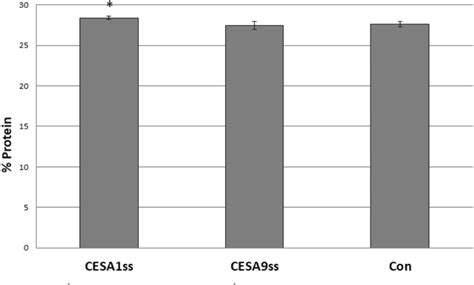 Total Protein Content Of T3 Homozygous Arabidopsis Seeds From Atcesa1