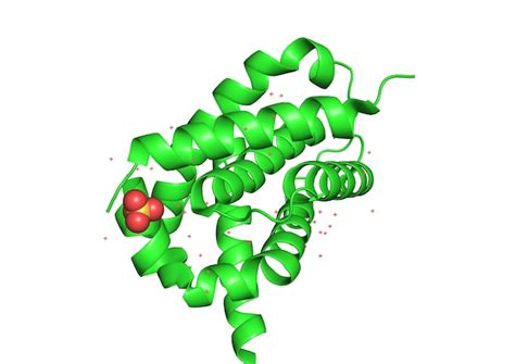 Premium Photo 3d Structure Of The Protein Molecule